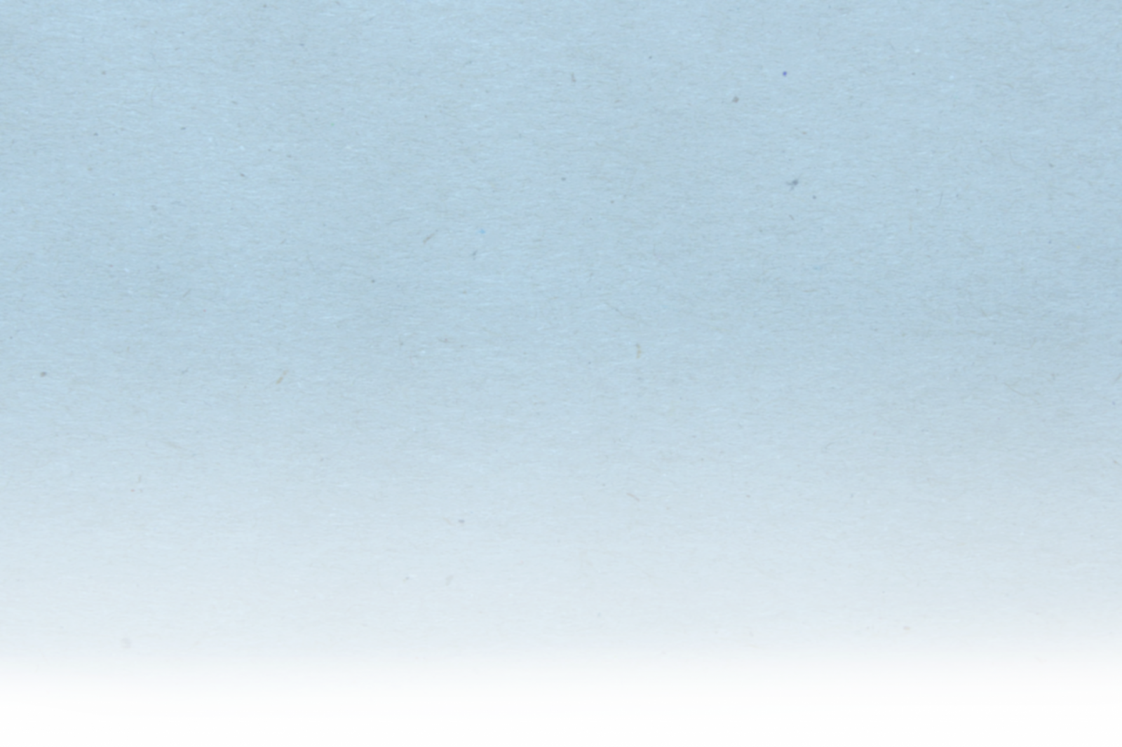 light-blue-paper-texture-with-flecks | SHANEA SAVOURS :: TOR//MIA//NYC