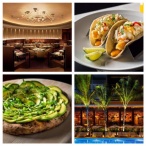 The Matador Room :: Miami | SHANEA SAVOURS :: TOR//MIA//NYC